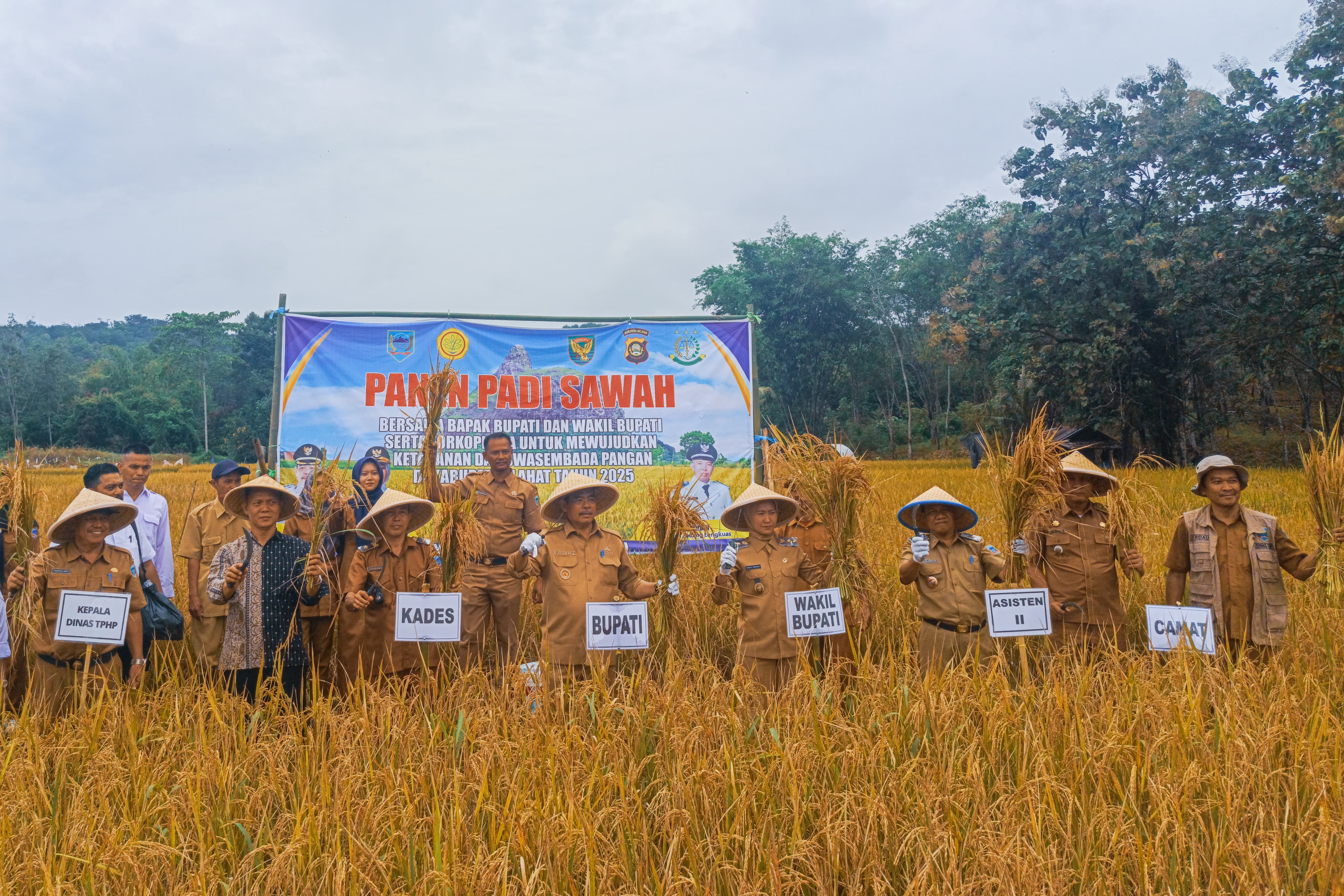 BZ-WIN Hadiri Panen Raya Padi Di Desa Padang Lengkuas - Lahat Hotline